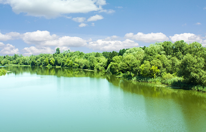 Primary Water Treatment - OMC Collareda